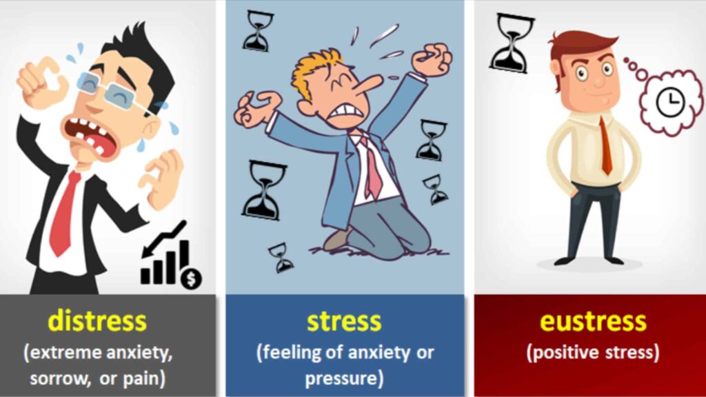 Effects of Stress on Mind, Body and Behavior