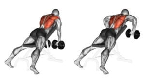 15 Best Dumbbell Rear Delt Exercises To Build Mass and Strength