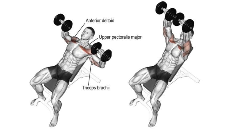 125+ Top Dumbbell Exercises Names (With Images)