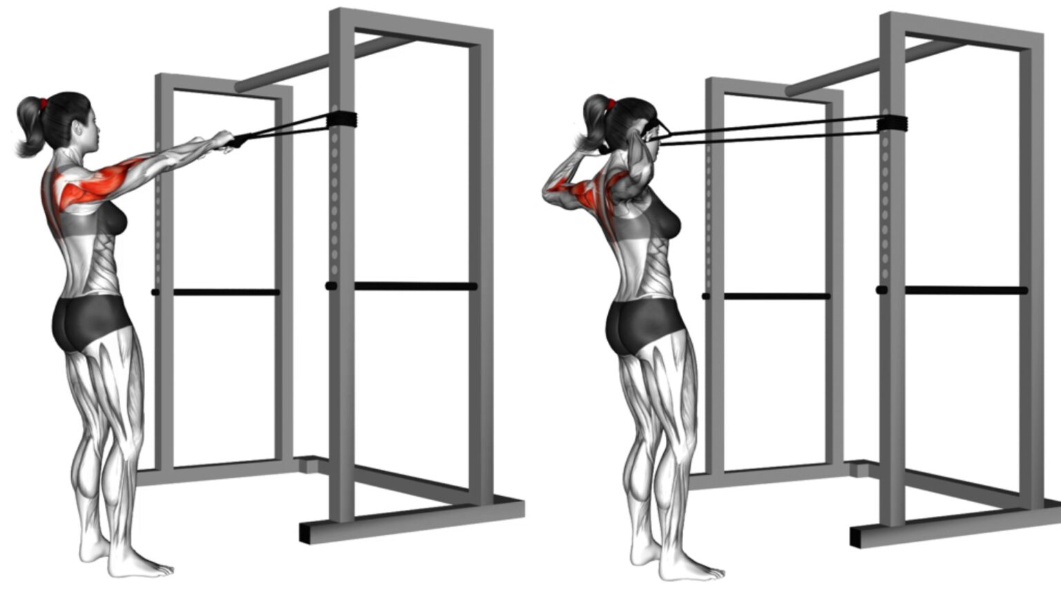 Resistance Band Shoulder Exercises (With Workout Routines)