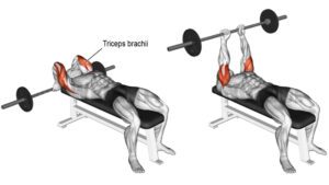 21 Best Triceps Exercises for Muscle Mass and Strength