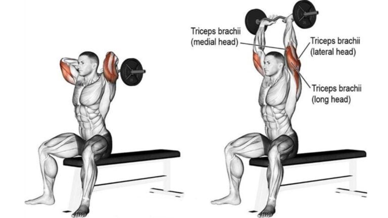 75+ Top Tricep Exercises Names (With Images)