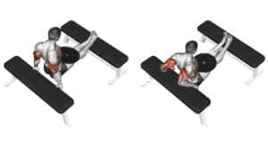 Bench Dips: How To Do, Muscles Worked and Form