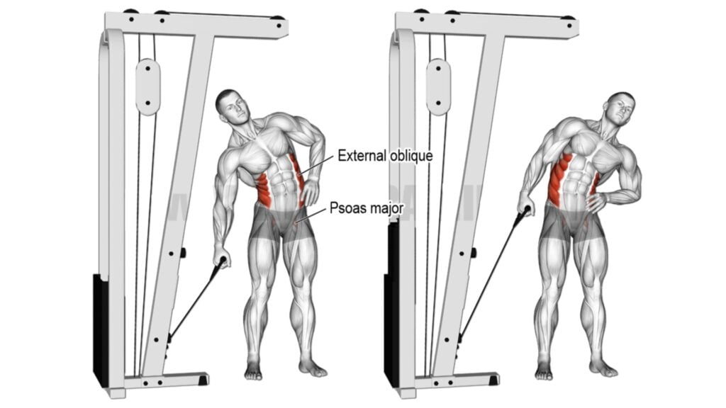 100+ Top Abs Exercises Names (With Images)