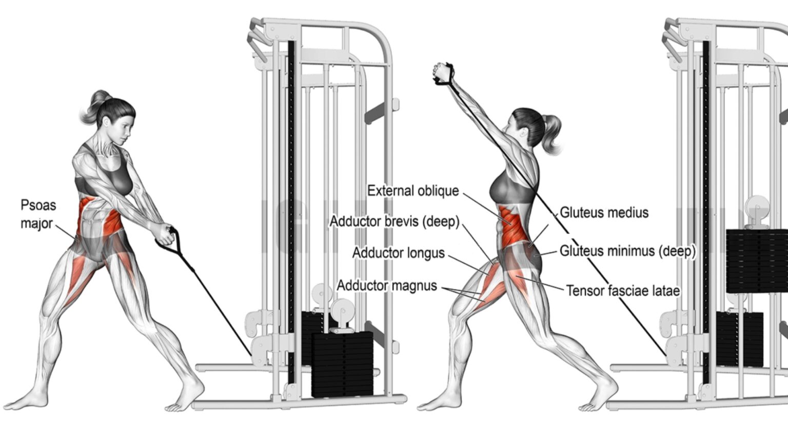 21 Best Oblique Exercises For A Strong Core