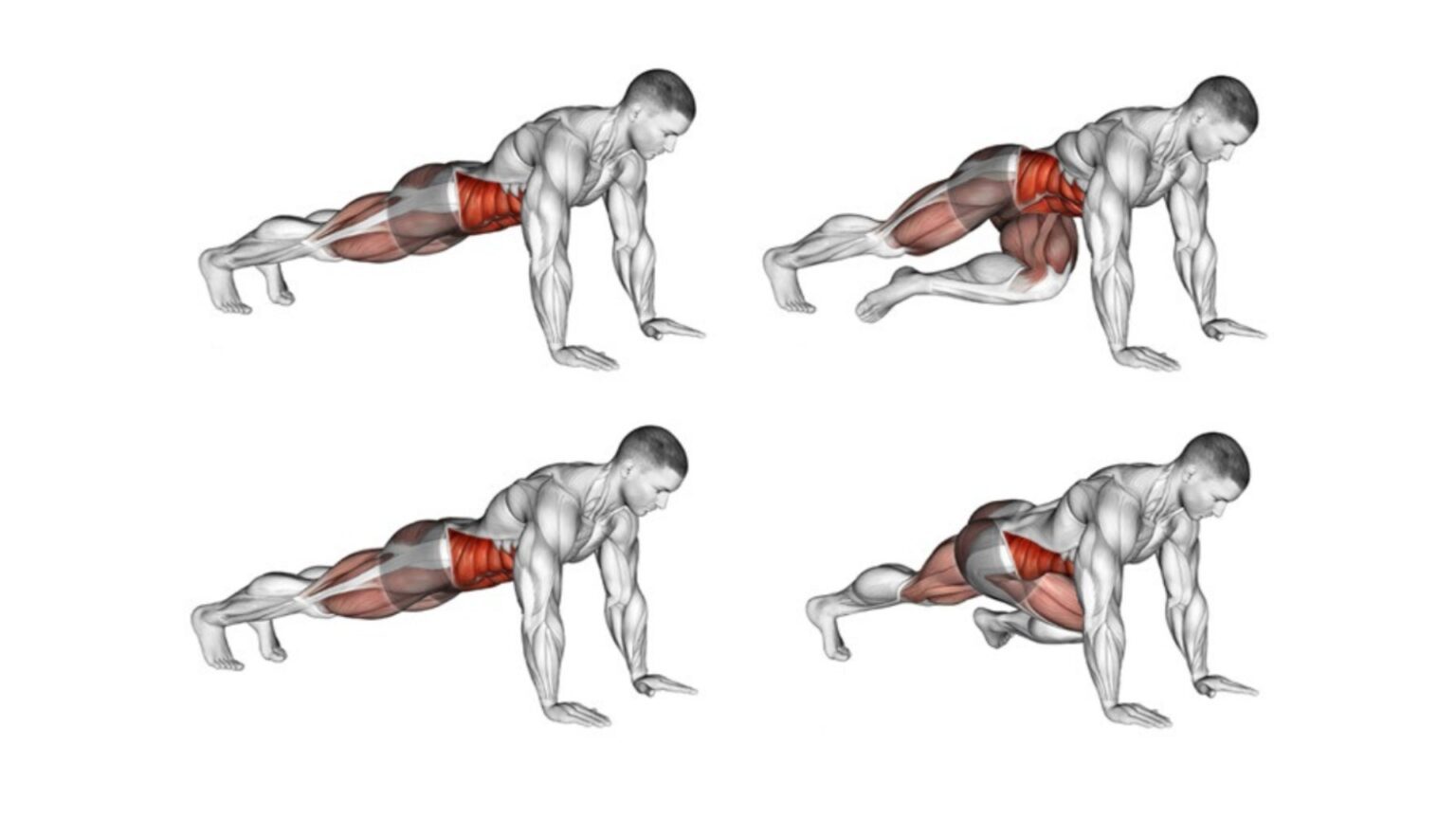 21 Best Oblique Exercises For A Strong Core
