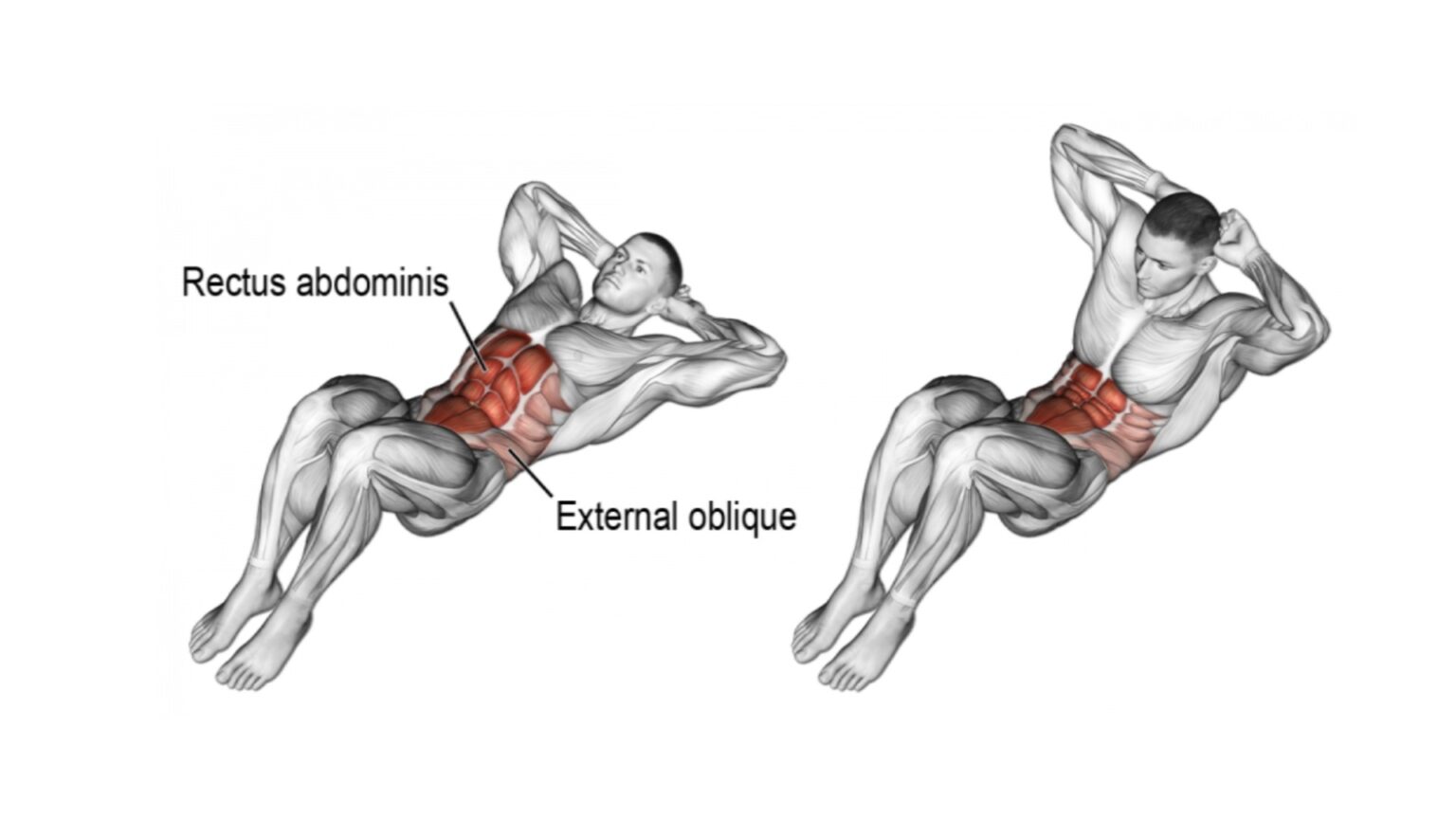 100+ Top Abs Exercises Names (With Images)