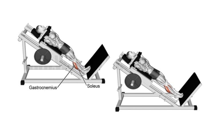 20 Best Calf Exercises For Mass and Strength