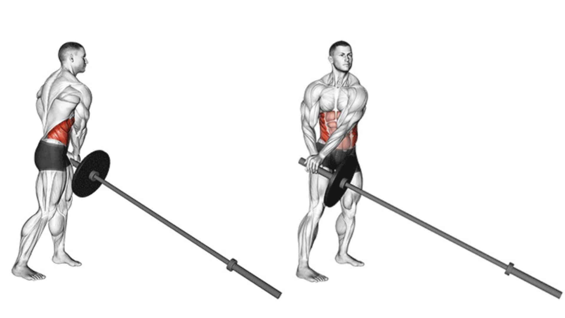 Landmine Twist Muscle Worked Form Benefits Landmine Twist Muscle Worked Form Benefits