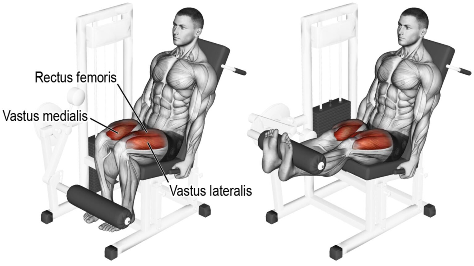 7 Gym Machine For Quad Workout (With Exercises)