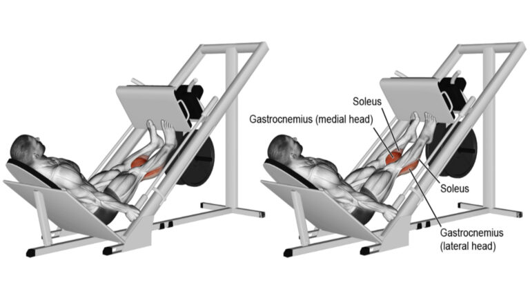 7 Best Gym Machines For Calves (With Calf Raise Exercises)