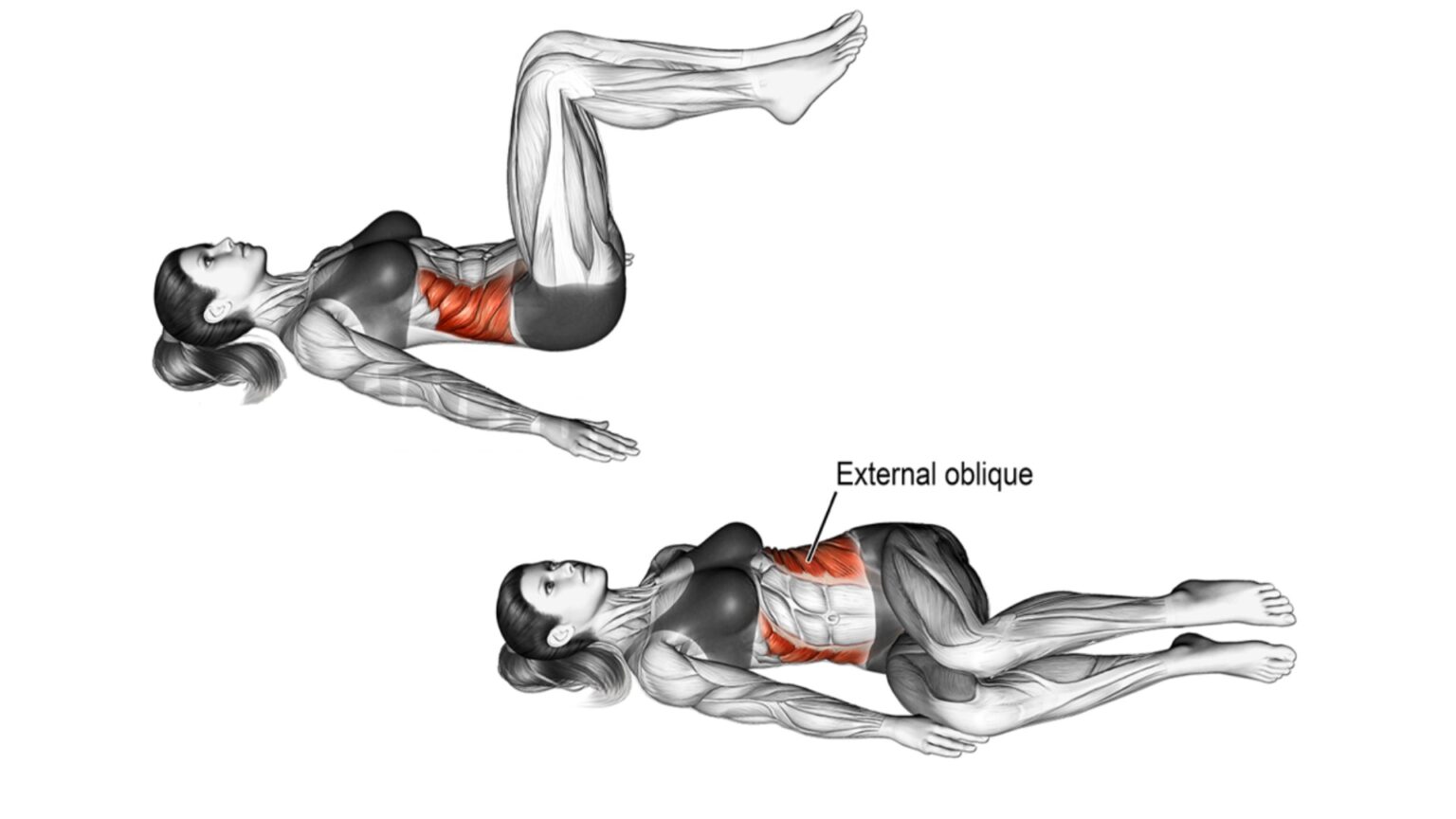 100+ Top Abs Exercises Names (With Images)