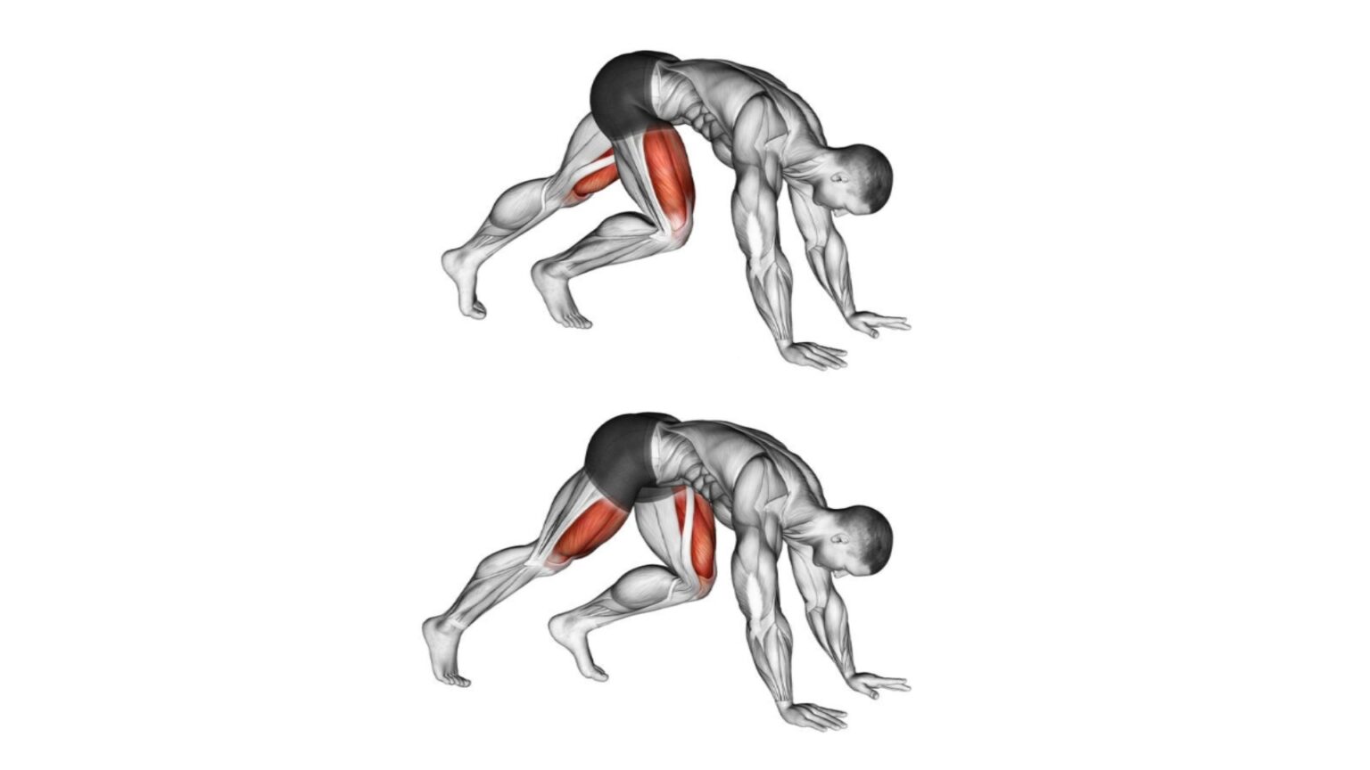 100+ Top Abs Exercises Names (With Images)