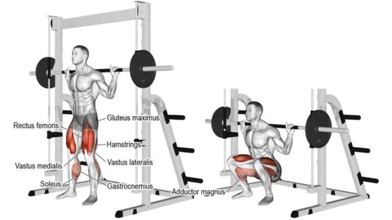 7 Gym Machine For Quad Workout (With Exercises)