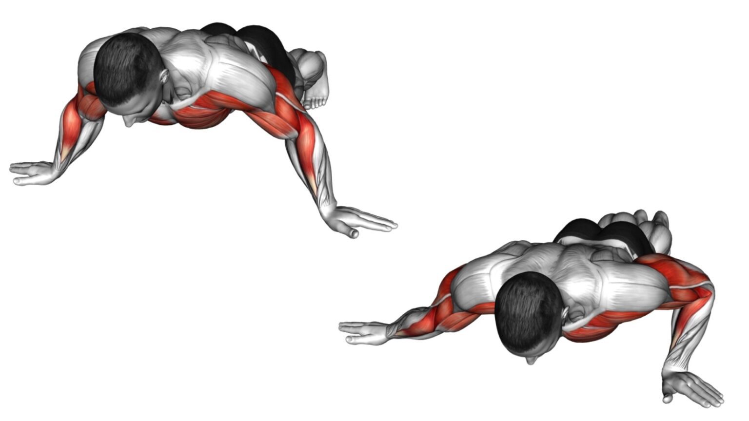 25 Different Types Of Push Ups (Best Variations)