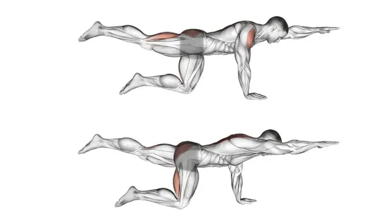 100 Top Back Exercises Names With Images 100 Top Back Exercises Names With Images