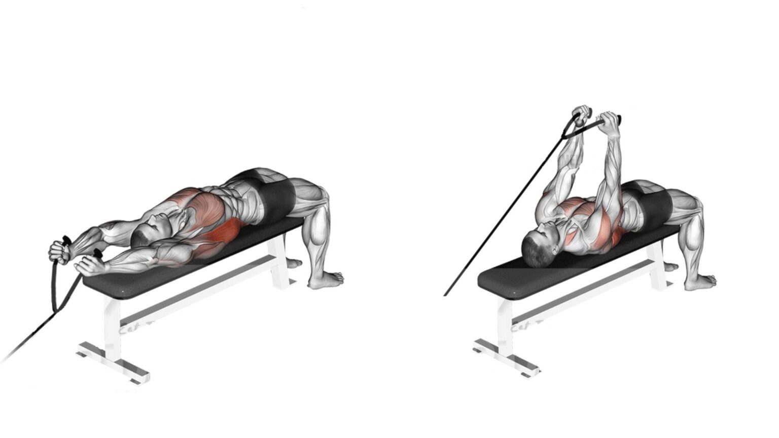 100+ Top Back Exercises Names (With Images)