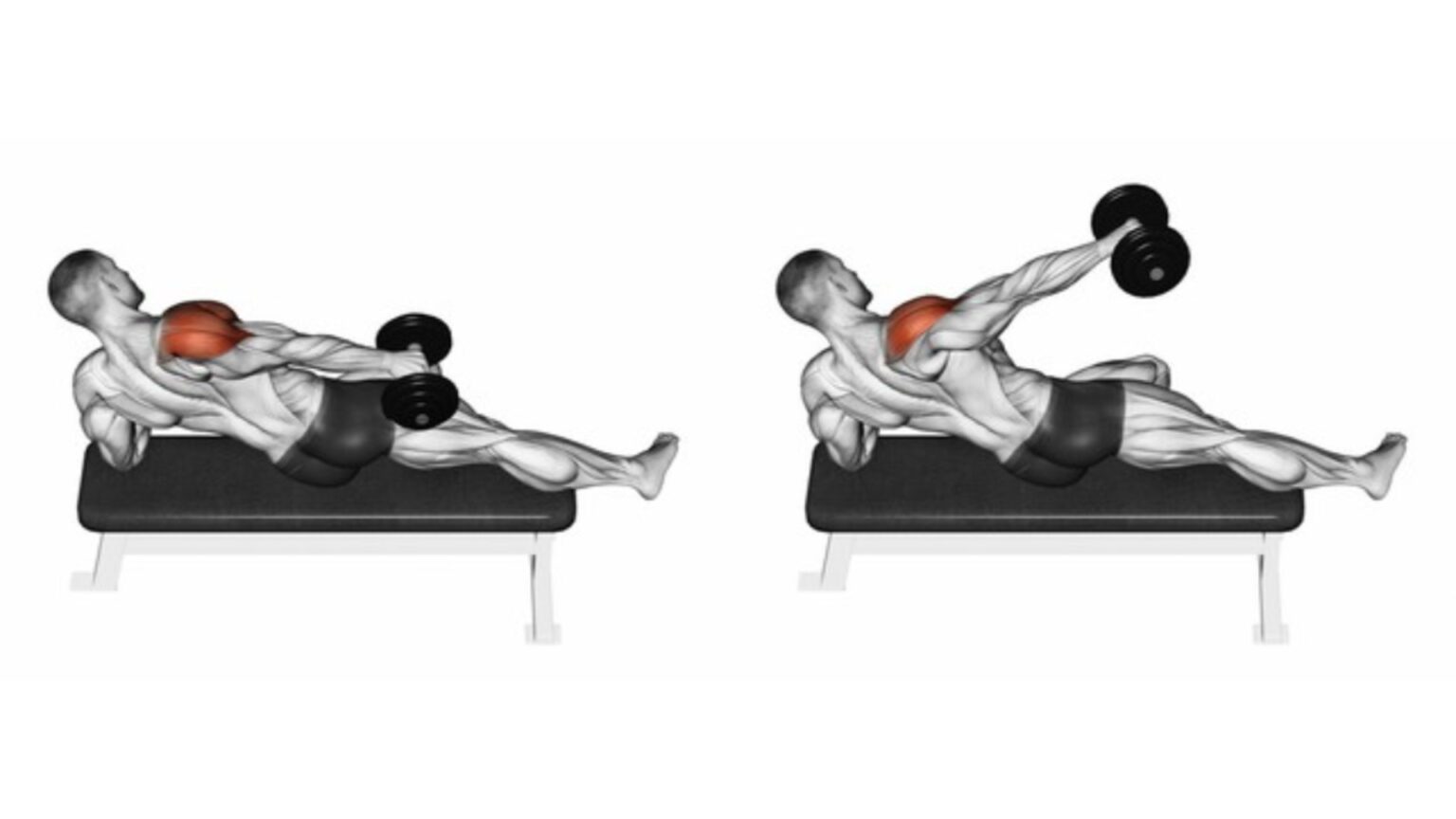 20 Best Side Delt Exercises To Build 3D Shoulder