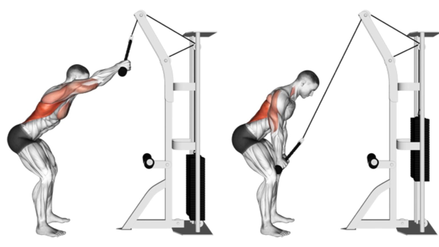 100+ Top Back Exercises Names (With Images)