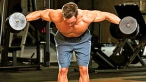 The Complete Guide to Rear Delt Flys for Beginners