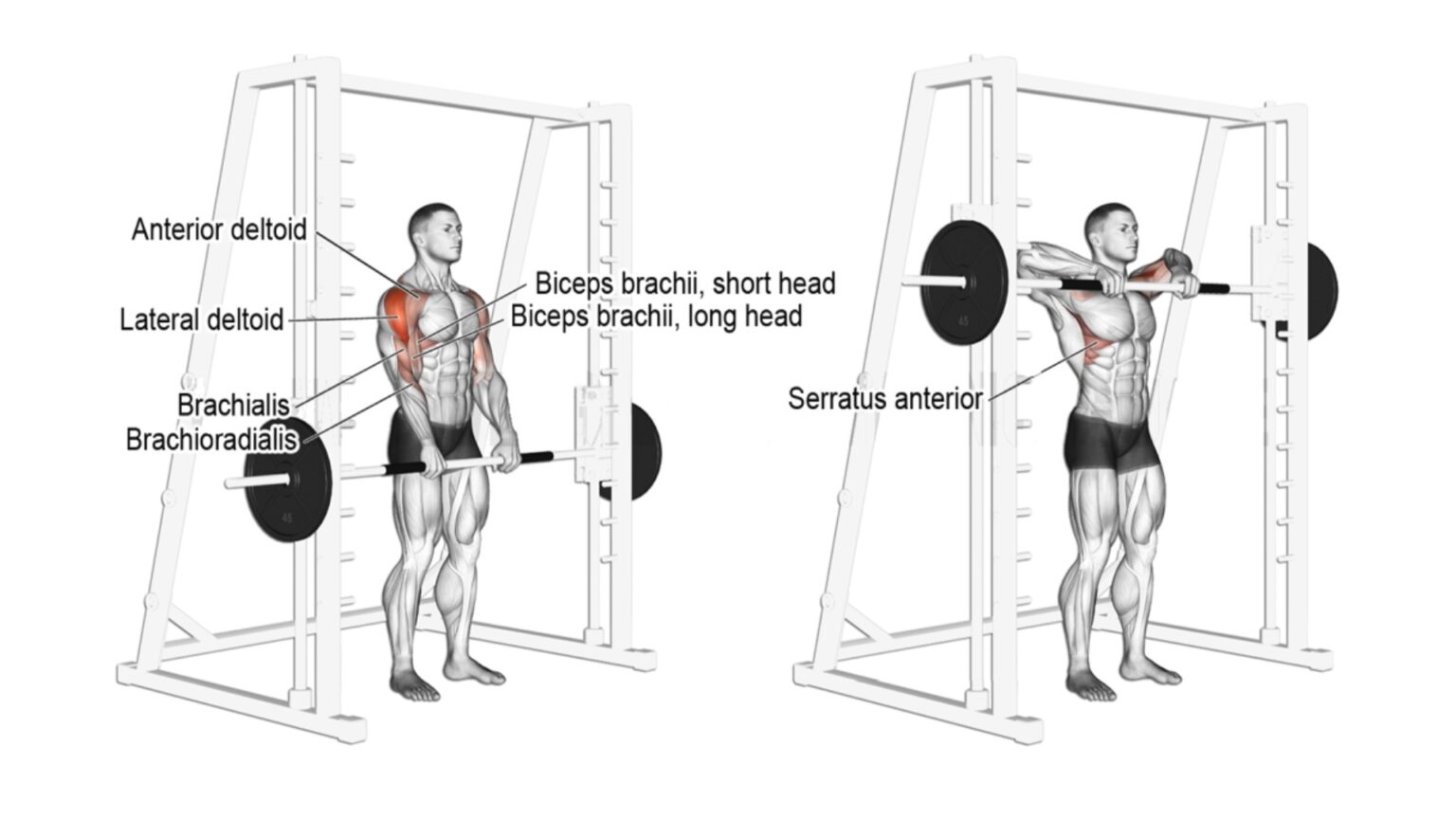 Smith Machine Upright Row