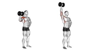 15 Best Single Arm Shoulder Exercises To Build Deltoids