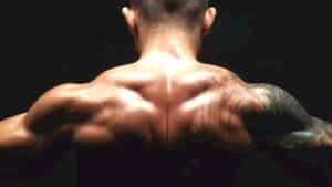 Best Upper Trap Exercises For Muscle Mass and Strength