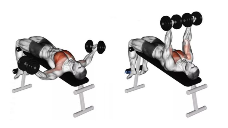 Mastering the Decline Dumbbell Fly: A Complete Guide