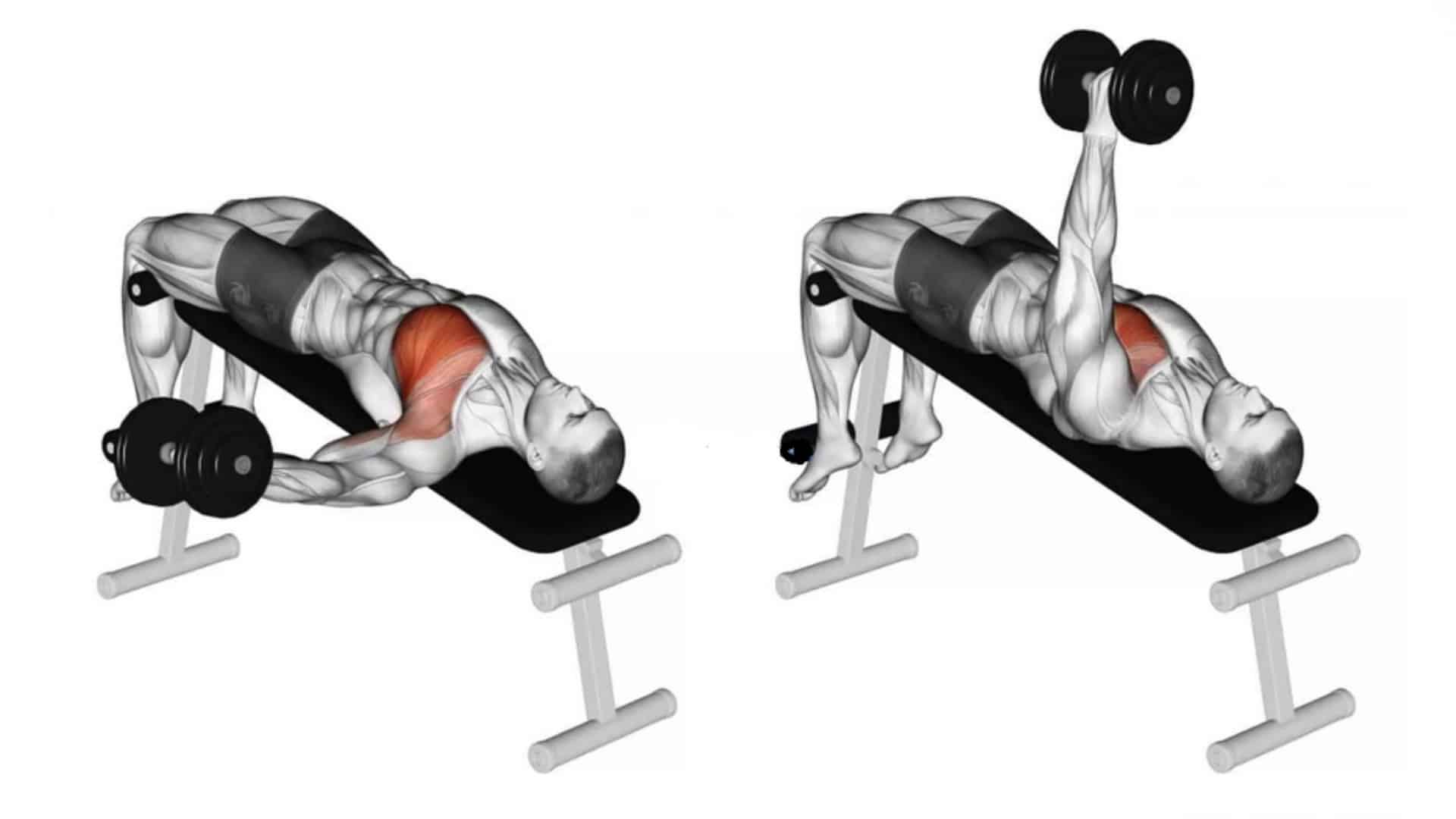 Mastering the Decline Dumbbell Fly: A Complete Guide