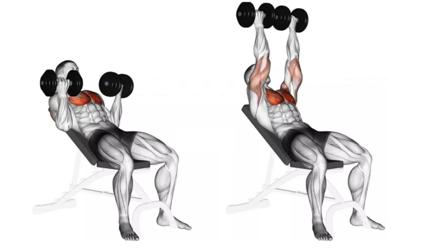 125+ Top Dumbbell Exercises Names (With Images)