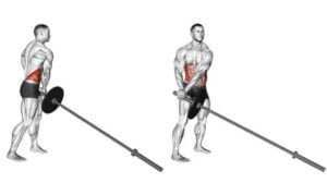 Landmine Twist: How To Do and Muscles Worked