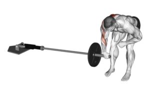 100+ Best Barbell Exercises Names (With Images)