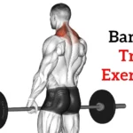 12 Best Barbell Arm Exercises (With Workout Plan)