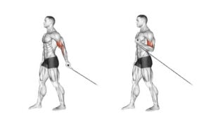 Bayesian Curl: Muscle World, How To Do, Form & Benefits