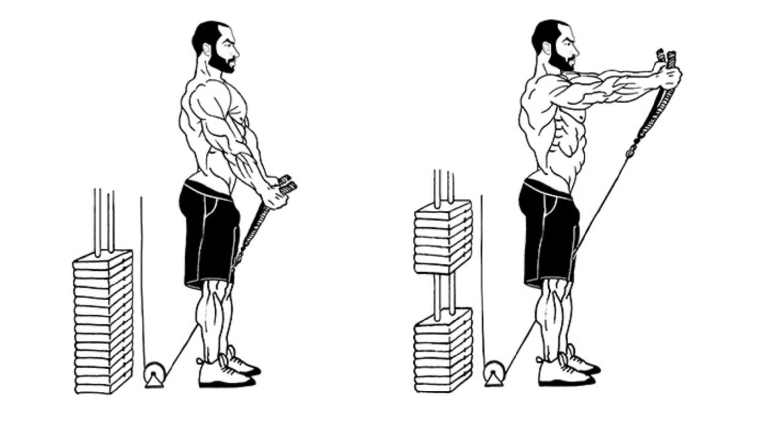 Cable Front Raise: Muscles Worked, Benefits, Tips