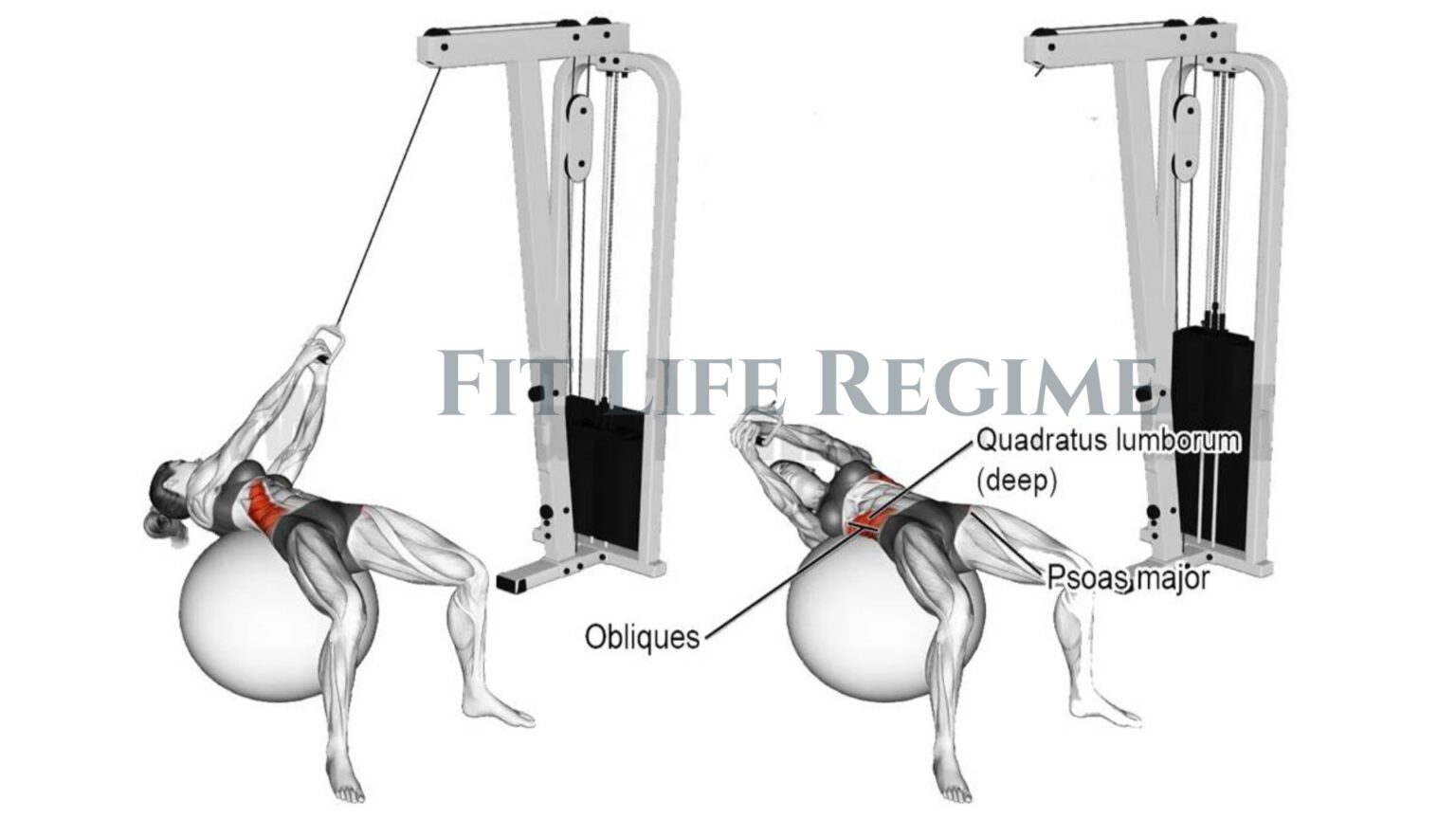 18 Best Cable Abs and Oblique Exercises To Build Strong Core
