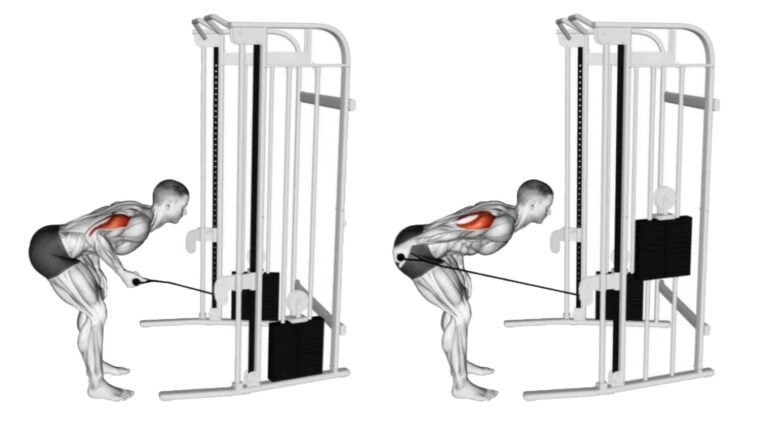 75+ Top Tricep Exercises Names (With Images)