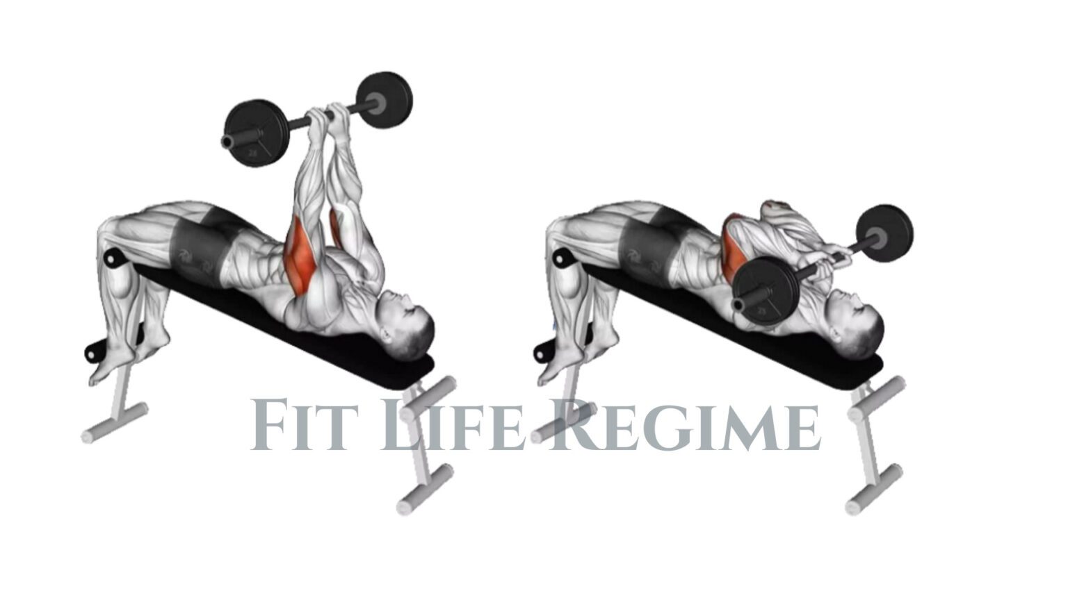 Skull Crushers: Ultimate Guide to Building Bigger, Stronger Triceps