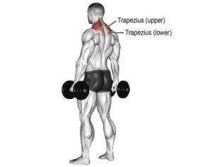 How To Do Dumbbell Shrugs for Stronger Shoulders
