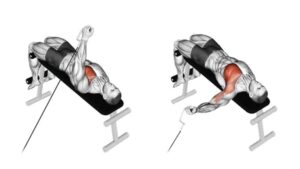 Decline Cable Fly: Muscles Worked and Alternatives