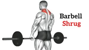 Barbell Shrug: How To Do and Muscles Worked