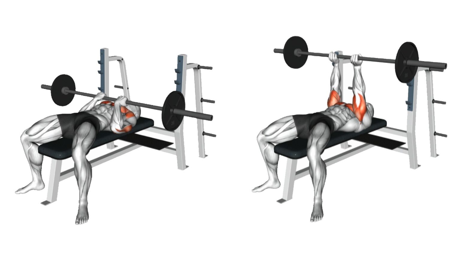 75+ Top Tricep Exercises Names (With Images)
