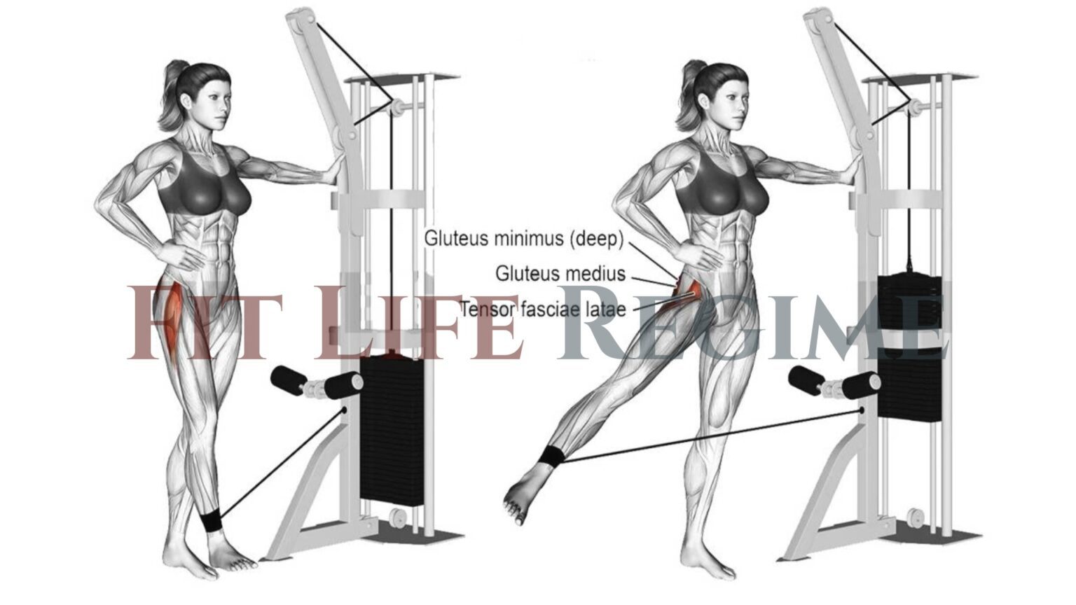 15 Best Cable Machine Leg Exercises (With Workout Routine)