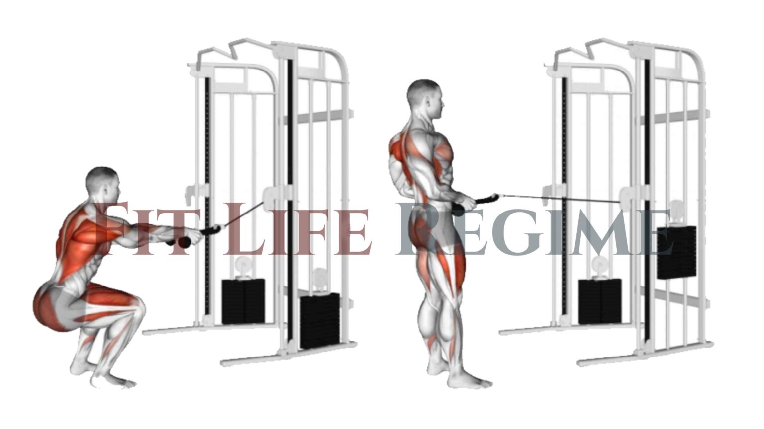 12 Best Pulley System Exercises (With Workout Routine)