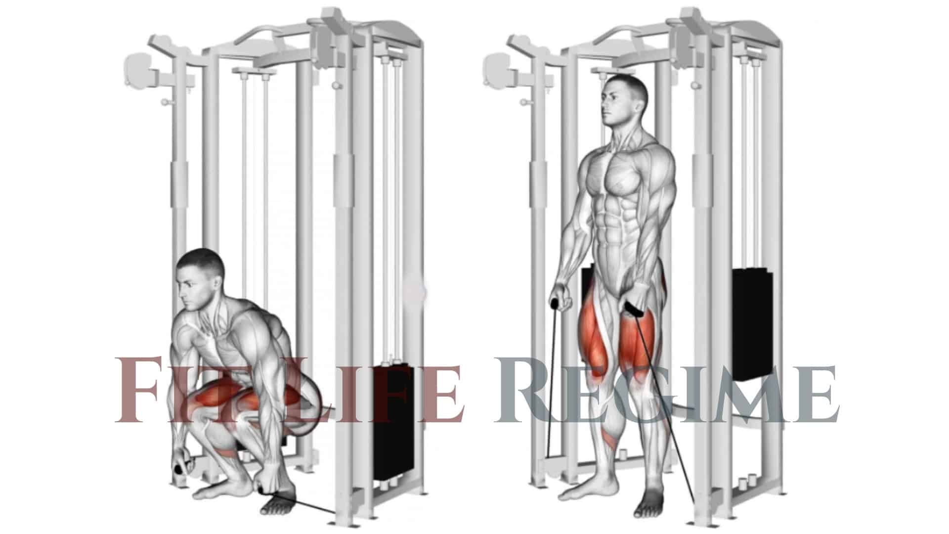 100+ Leg Exercises Names (With Images)