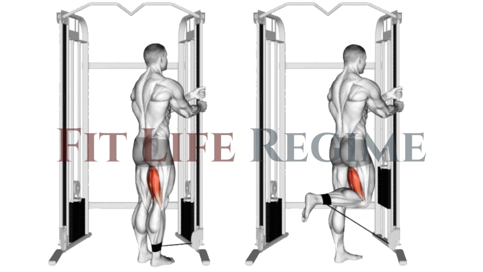 9 Best Gym Machines For Hamstring (With Workouts)