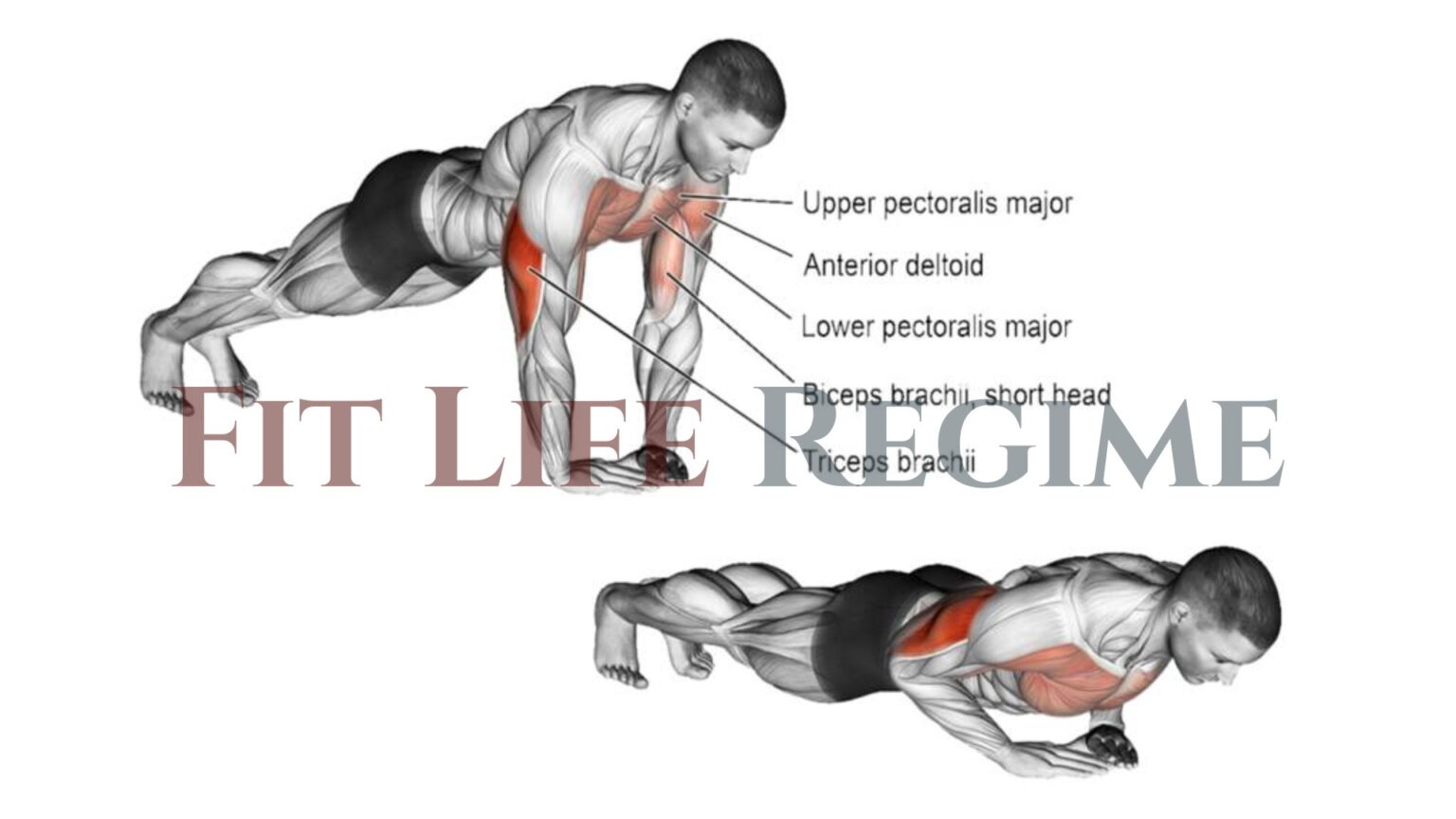 125+ Top Bodyweight Exercises Names (With Images)