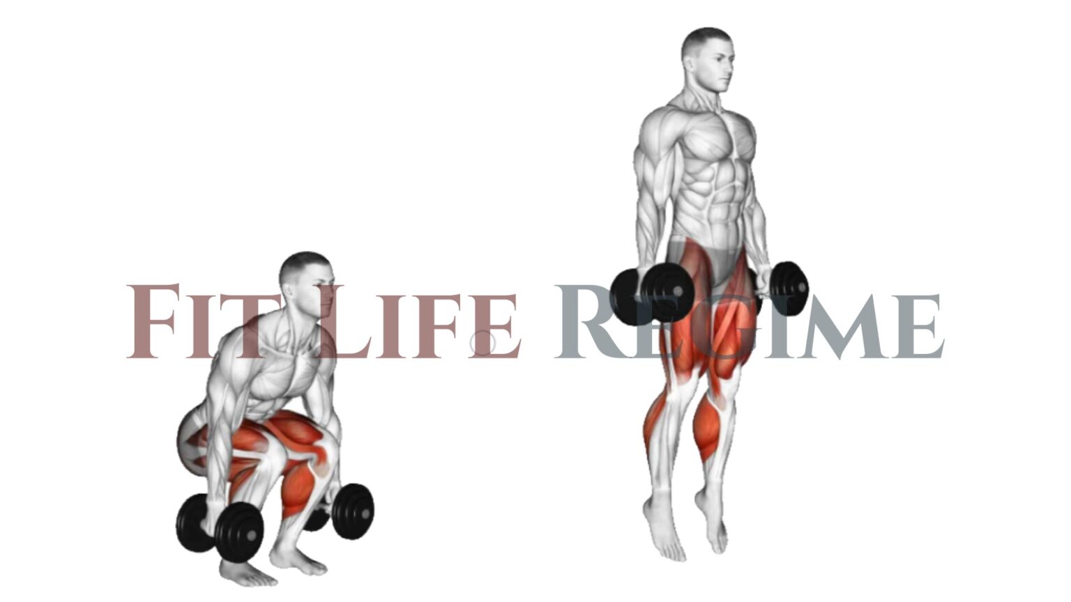 10 Best Dumbbell Quad Exercises (With Workout Routine)