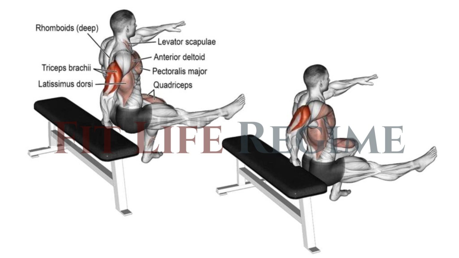 7 Most Effective Tricep Dips To Build Mass & Strength