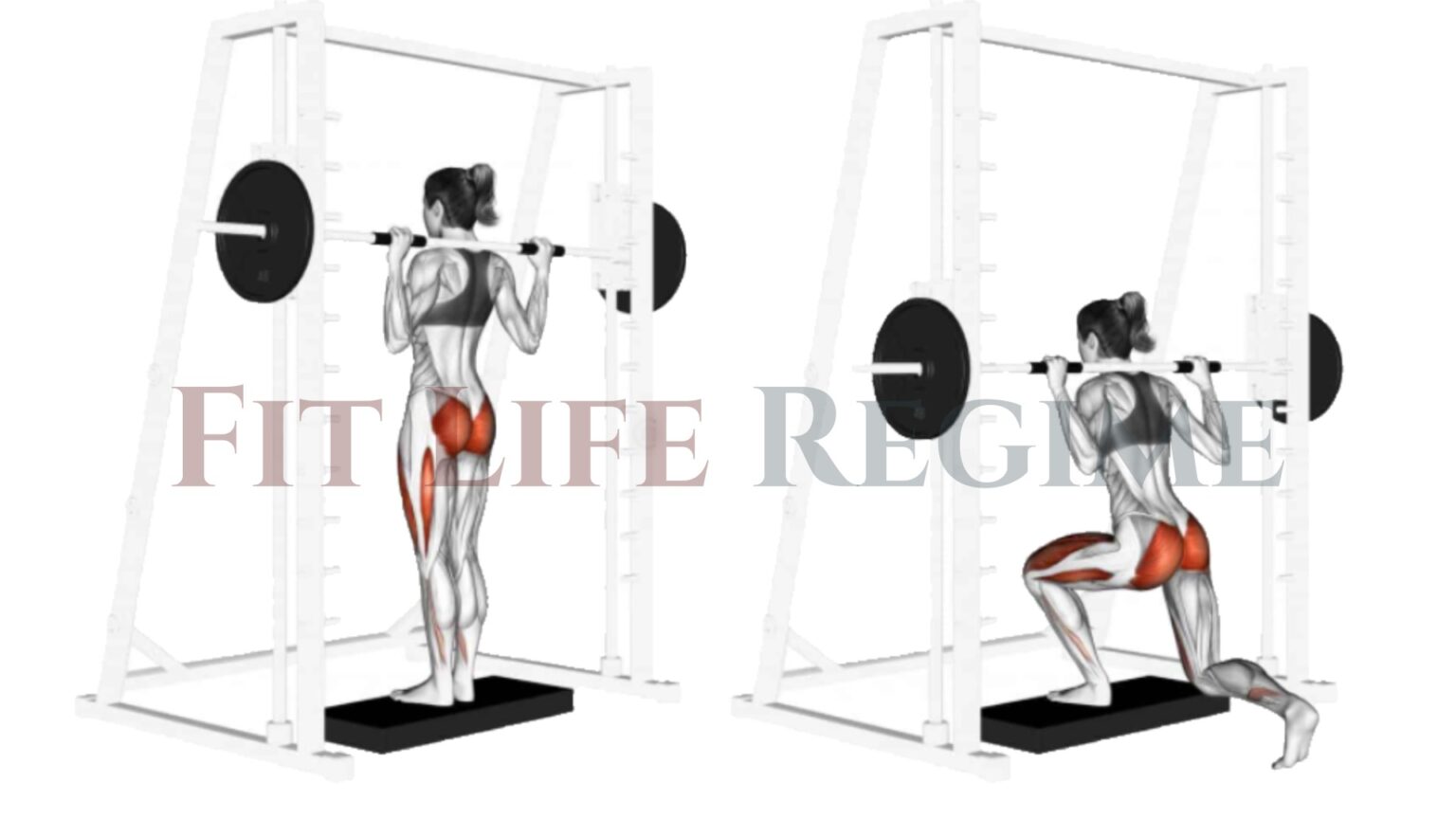 12 Most Effective Smith Machine Leg Workout & Exercises
